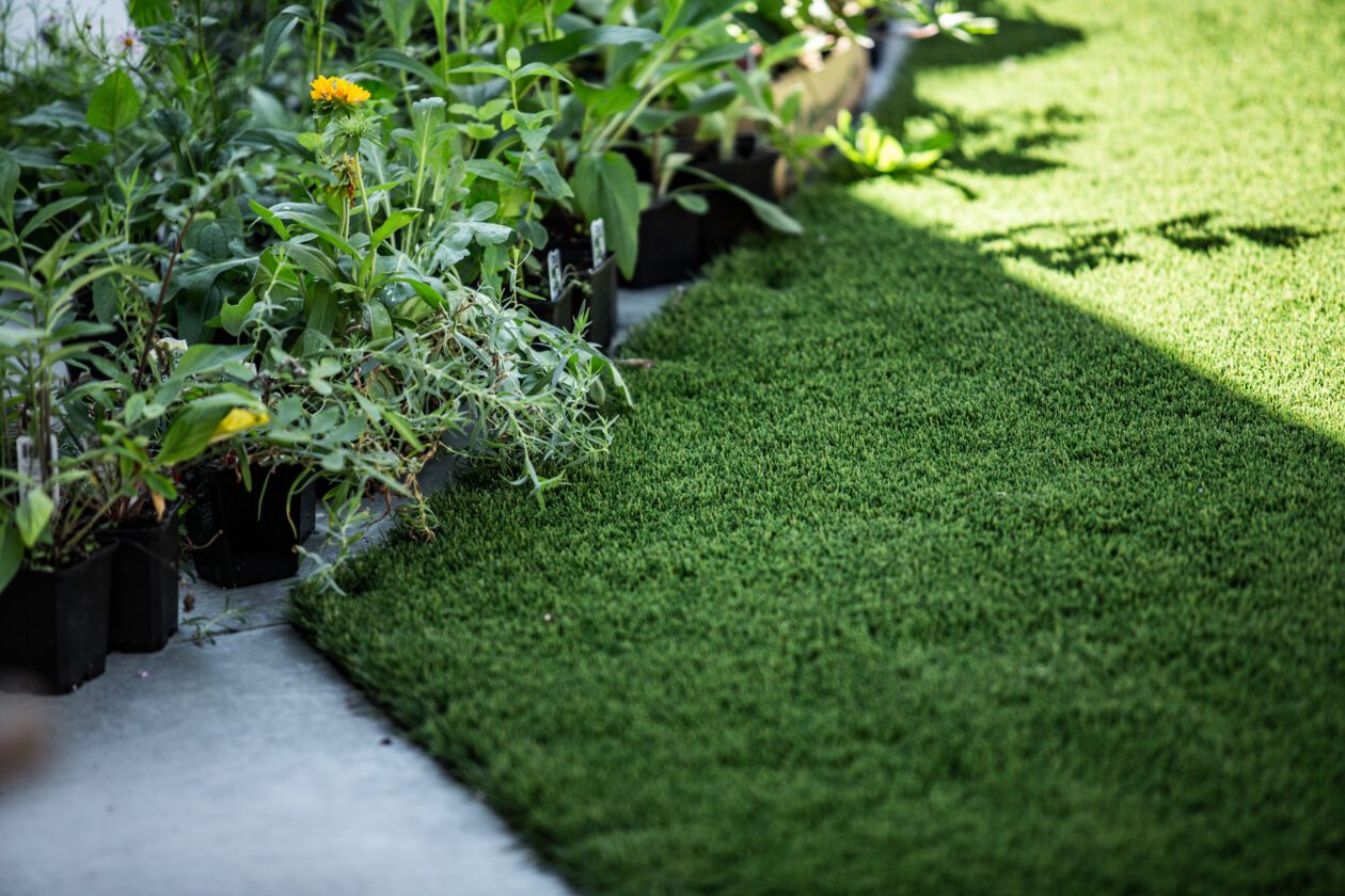 Water-Wise Landscaping: Harnessing the Power of Artificial Turf for ...