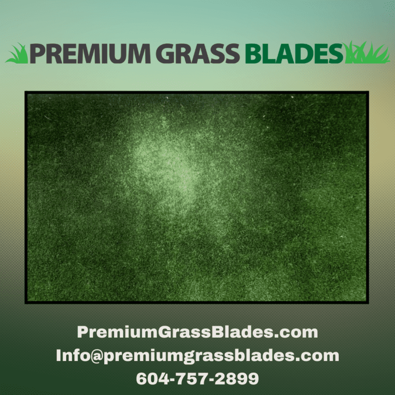 How To Revitalize Matted Turf Blades - Premium Grass Blades