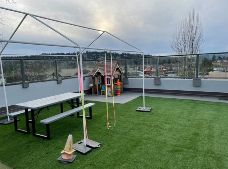 Artificial Turf For Rooftop Patios - Premium Grass Blades