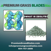 Zeolite Infill for Artificial Turf - Premium Grass Blades