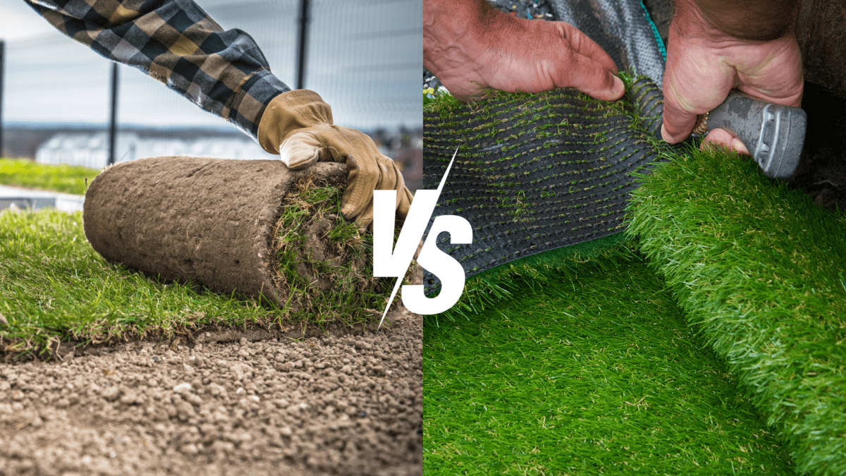 Synthetic Grass vs. Natural Grass